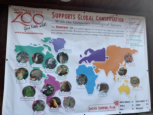 BRANDYWINE ZOO - 92 Photos & 49 Reviews - Zoos - 1001 N Park Dr ...
