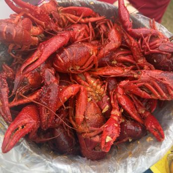 BARGE 295 - Updated August 2025 - 214 Photos & 160 Reviews - 2613 1/2 ...