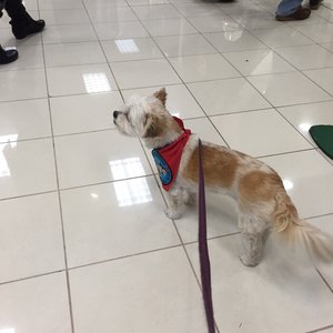 WALMART - Updated December 2025 - 20 Photos & 26 Reviews - 730 ...