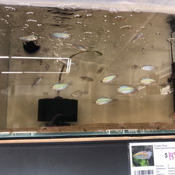 CK FISH WORLD - Updated May 2025 - 438 Photos & 464 Reviews - 541 North ...