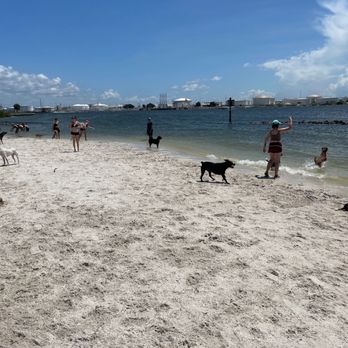 DAVIS ISLAND DOG BEACH - Updated August 2024 - 229 Photos & 113 Reviews ...
