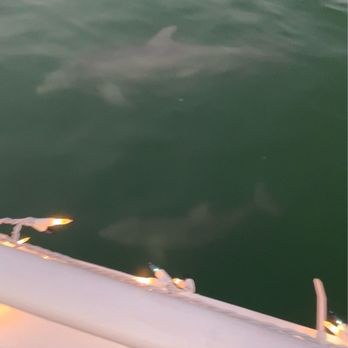 MARCO ISLAND PRINCESS - Updated December 2025 - 74 Photos & 55 Reviews ...