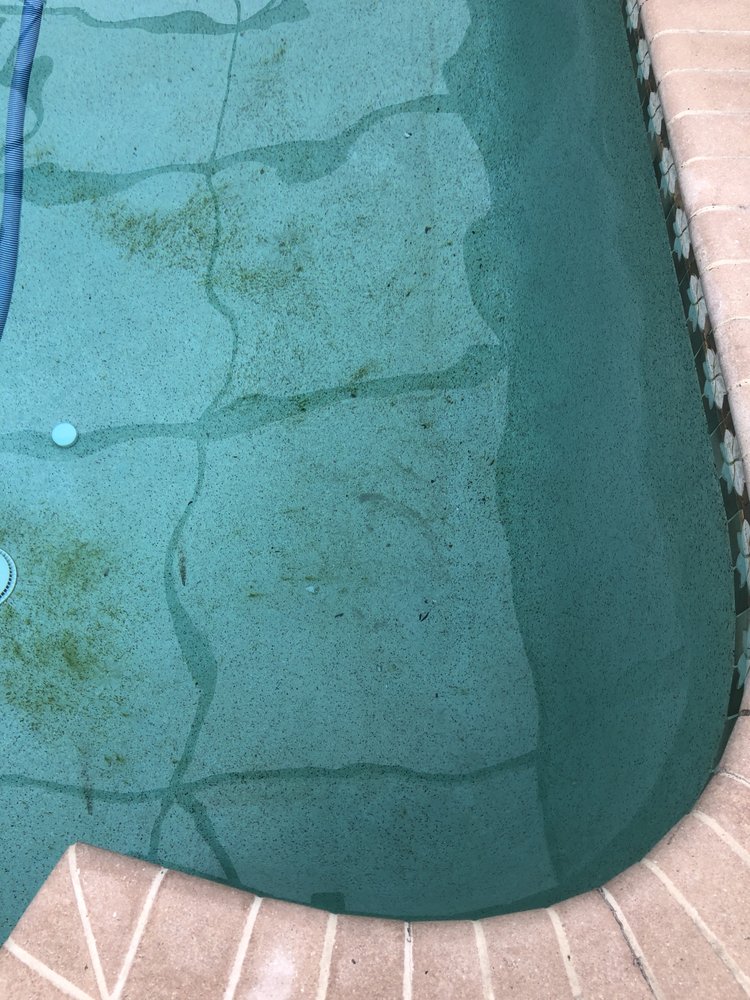 COLONIAL POOL & SPA - 4290 Cleveland Ave, Fort Myers, Florida - Pool ...