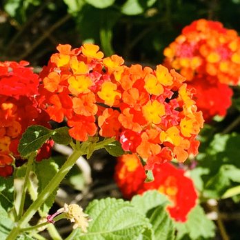 WHITE TANK LIBRARY - Updated December 2025 - 104 Photos & 43 Reviews ...