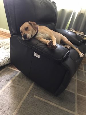 FULTON FARMS - Updated December 2025 - 46 Photos & 17 Reviews - 2393 S ...