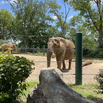 LOUISVILLE ZOO - Updated May 2024 - 1742 Photos & 218 Reviews - 1100 ...