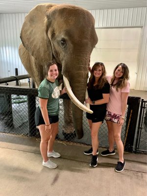 WILSTEM - Updated September 2024 - 280 Photos & 72 Reviews - 4229 W US ...