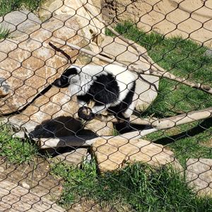 BRANDYWINE ZOO - 114 Photos & 55 Reviews - 1001 N Park Dr, Wilmington ...