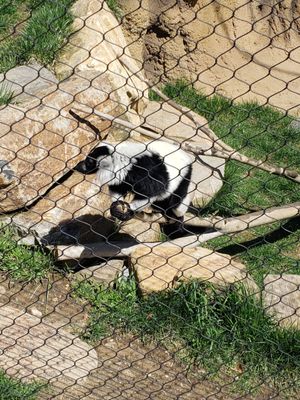 BRANDYWINE ZOO - 117 Photos & 55 Reviews - 1001 N Park Dr, Wilmington ...