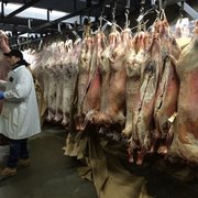 MOSNER FAMILY BRANDS - 23 Photos & 25 Reviews - 355 Food Center Dr ...