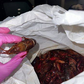 SWAMP DONKEYS CRAWFISH AND SEAFOOD - Updated November 2024 - 117 Photos ...