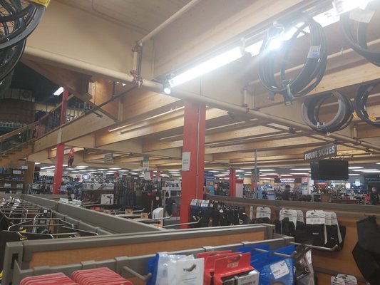 UNITED SPORT & CYCLE - Updated June 2024 - 66 Photos & 57 Reviews ...