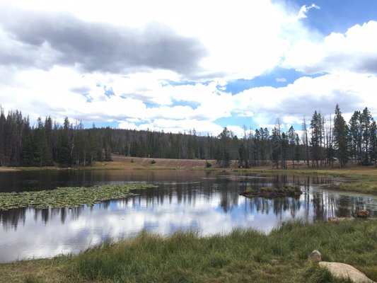 BUTTERFLY LAKE CAMPGROUND - Updated January 2026 - 35 Photos - US Hwy ...