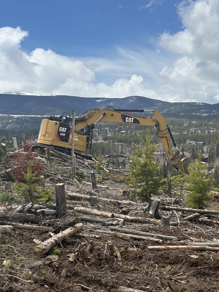 ELEVATED EXCAVATION - Updated November 2024 - 1499 Blake St, Denver ...