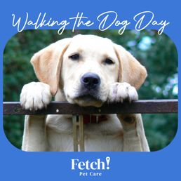 Fetch! Pet Care Reviews | Read Customer Service Reviews of fetchpetcare.com