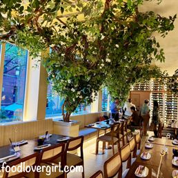 FRENA - Updated December 2025 - 372 Photos & 122 Reviews - 773 10th Ave ...