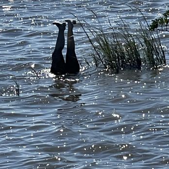 LOW KEY HIDEAWAY - Updated February 2025 - 206 Photos & 92 Reviews ...