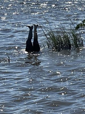 LOW KEY HIDEAWAY - Updated January 2026 - 224 Photos & 100 Reviews ...