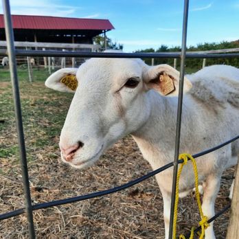 APPLECREST FARM ORCHARDS - Updated December 2025 - 247 Photos & 153 ...