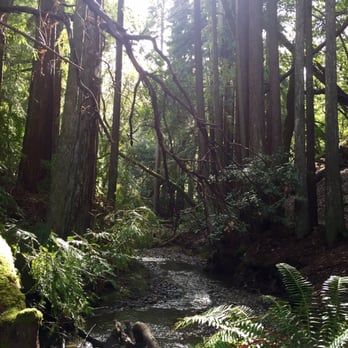 BALTIMORE CANYON - Updated December 2024 - 59 Photos & 18 Reviews ...