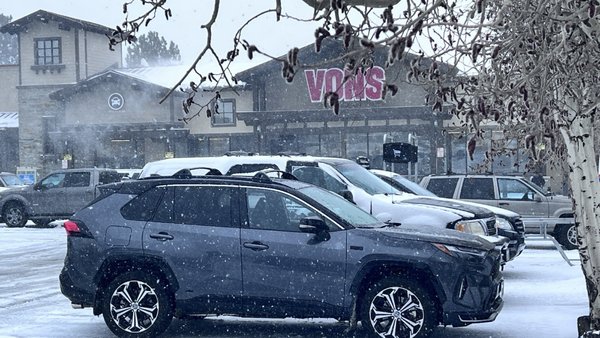 VONS - Updated December 2025 - 109 Photos & 248 Reviews - 481 Old ...