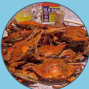 1863 RESTAURANT - 57 Photos & 53 Reviews - 95 Presidential Cir ...