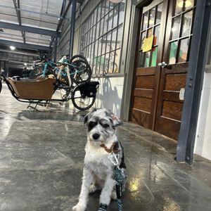 BICYCLE GARAGE INDY - DOWNTOWN - Updated October 2025 - 32 Reviews ...