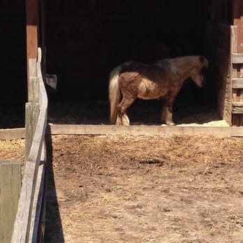 SUFFOLK COUNTY FARM - Updated January 2026 - 67 Photos & 16 Reviews ...