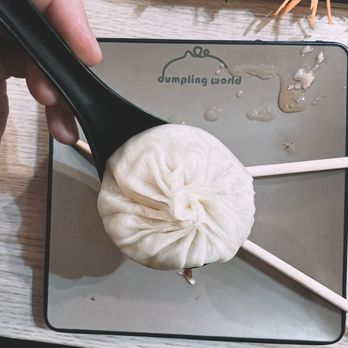 DUMPLING WORLD - Updated July 2025 - 141 Photos & 74 Reviews - 16630 El ...