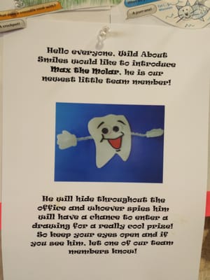 WILD ABOUT SMILES - Updated October 2025 - 17 Reviews - 2145 Green ...