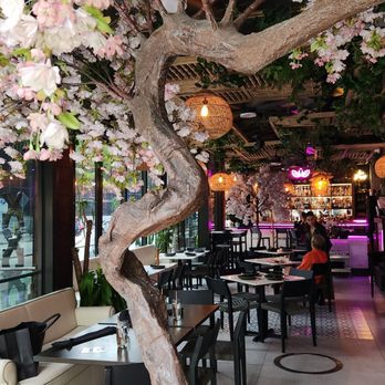 ALMA ROSA - Updated June 2024 - 147 Photos & 63 Reviews - 1250 S Miami ...