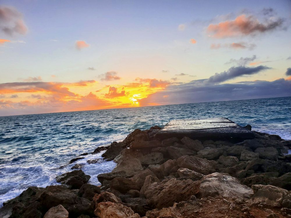 BELLOWS FIELD BEACH PARK - Updated August 2025 - 579 Photos & 187 ...