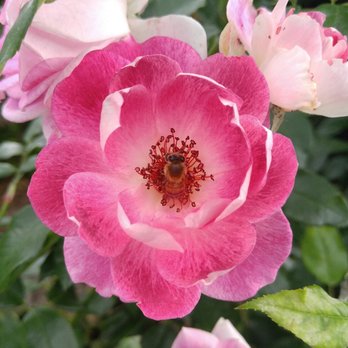 BRESSI RANCH VILLAGE CENTER - Updated January 2026 - 30 Photos & 14 ...