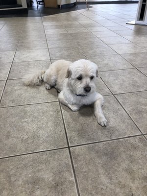 KIA OF EVERETT - Updated December 2024 - 26 Photos & 71 Reviews - 229 ...