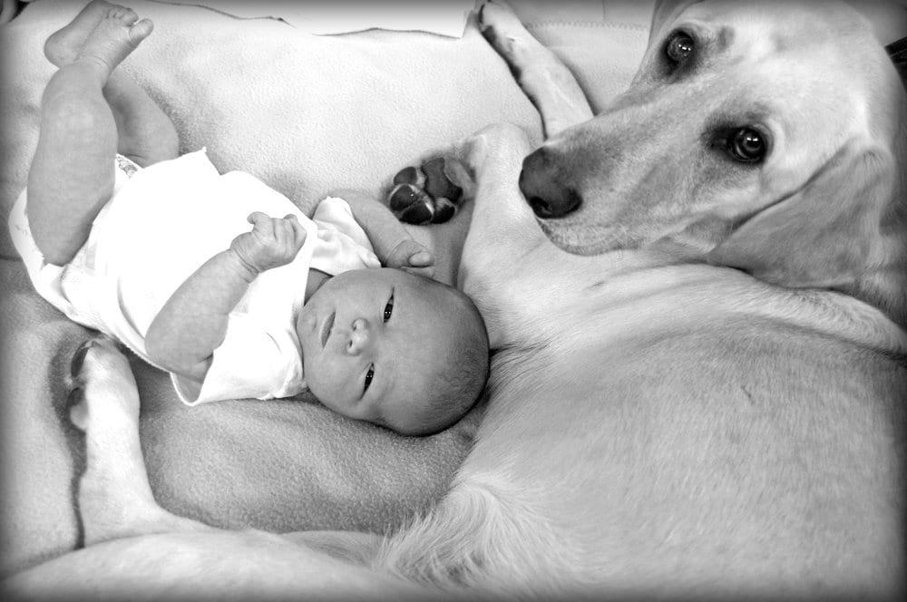 HEATHER L HUNT, PHOTOGRAPHIC ARTIST - Updated August 2024 - 13 Reviews ...