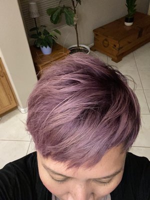 ADAM PINK SALON - 40 Photos & 20 Reviews - 3936 E Chandler Blvd ...