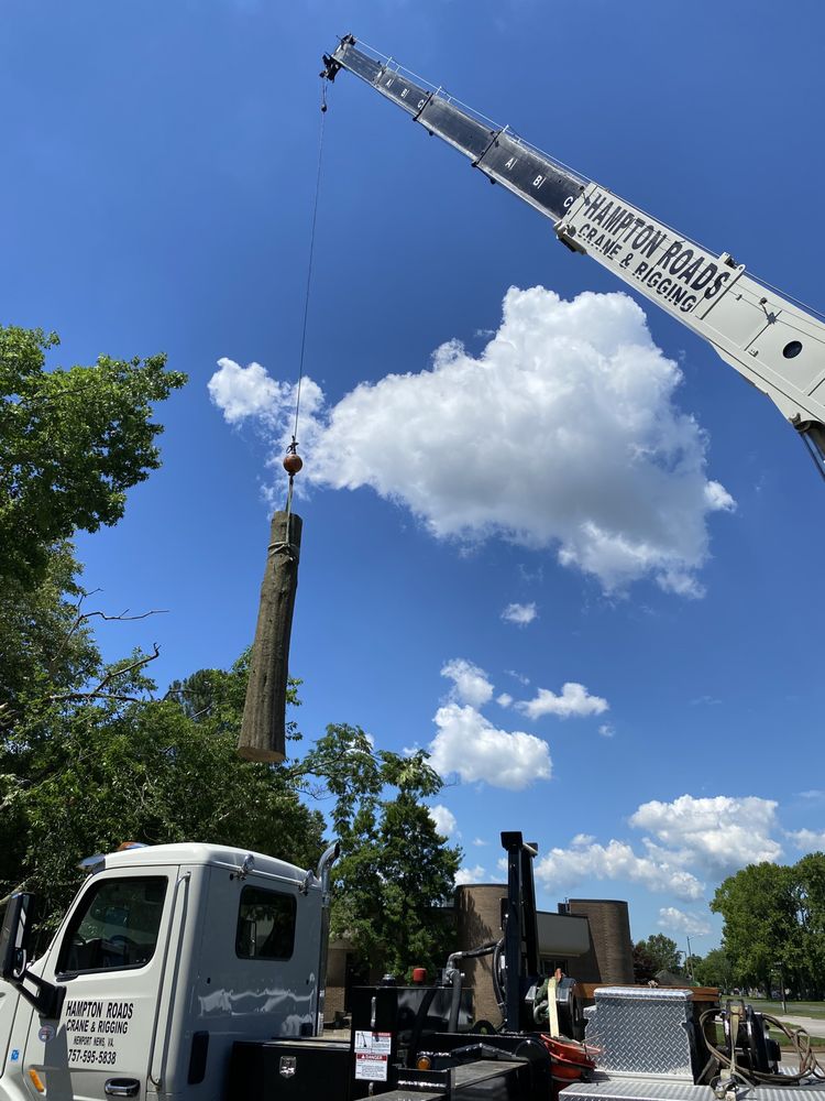 OCEAN AIR TREE CARE - Request a Quote - 13 Photos - Virginia Beach ...