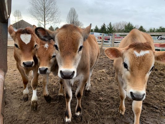 CRITTER BARN - Updated August 2024 - 47 Photos & 29 Reviews - 2950 80th ...