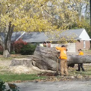 ZB’S LAWN SPRINKLERS - Updated April 2024 - Clarkston, Michigan ...