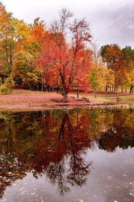 CHADWICK LAKE PARK - Updated October 2024 - 18 Photos - 1702 Rte 300 ...