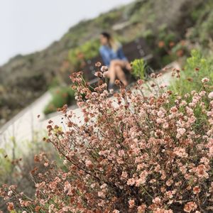 SANTA MARIA VALLEY MULTI-PURPOSE TRAIL - Updated July 2024 - 803 ...