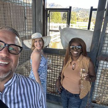 TAMBER BEY VINEYARDS - 517 Photos & 249 Reviews - 1251 Tubbs Ln ...