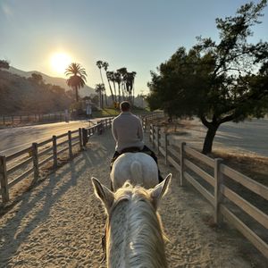 SUNSET RANCH HOLLYWOOD STABLES - Updated November 2025 - 1475 Photos ...