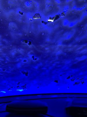 GO CAR WASH - METCALF - Updated November 2025 - 29 Photos & 15 Reviews ...