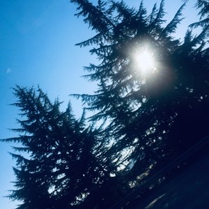 TAHUYA STATE FOREST 4X4 PARK - 77 Photos & 11 Reviews - Belfair, WA - Yelp