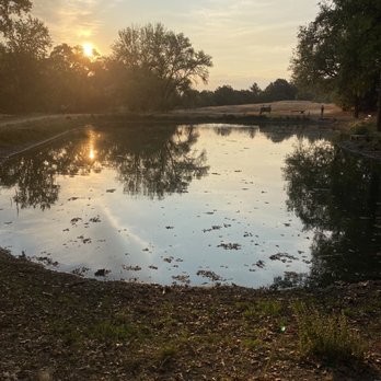 MENDOCINO REDWOODS RV RESORT - Updated September 2024 - 228 Photos & 30 ...