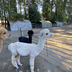 Best Zoos Near Me - October 2025: Find Nearby Zoos Reviews - Yelp