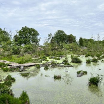 ALLIGATOR ALLEY - Updated June 2024 - 483 Photos & 159 Reviews - 19950 ...