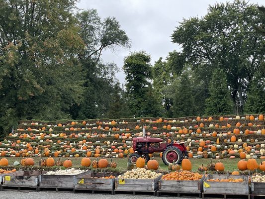 JOHNSTON FRUIT FARMS - Updated September 2025 - 56 Photos & 13 Reviews ...