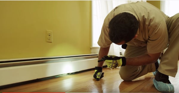 ARTERIX PEST CONTROL - Updated September 2024 - 28 Photos & 185 Reviews ...